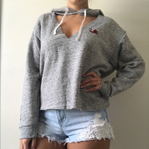 PINK Victoria's Secret | Tops | Vs Pink Usc Gamecocks Cropped Hoodie V ...